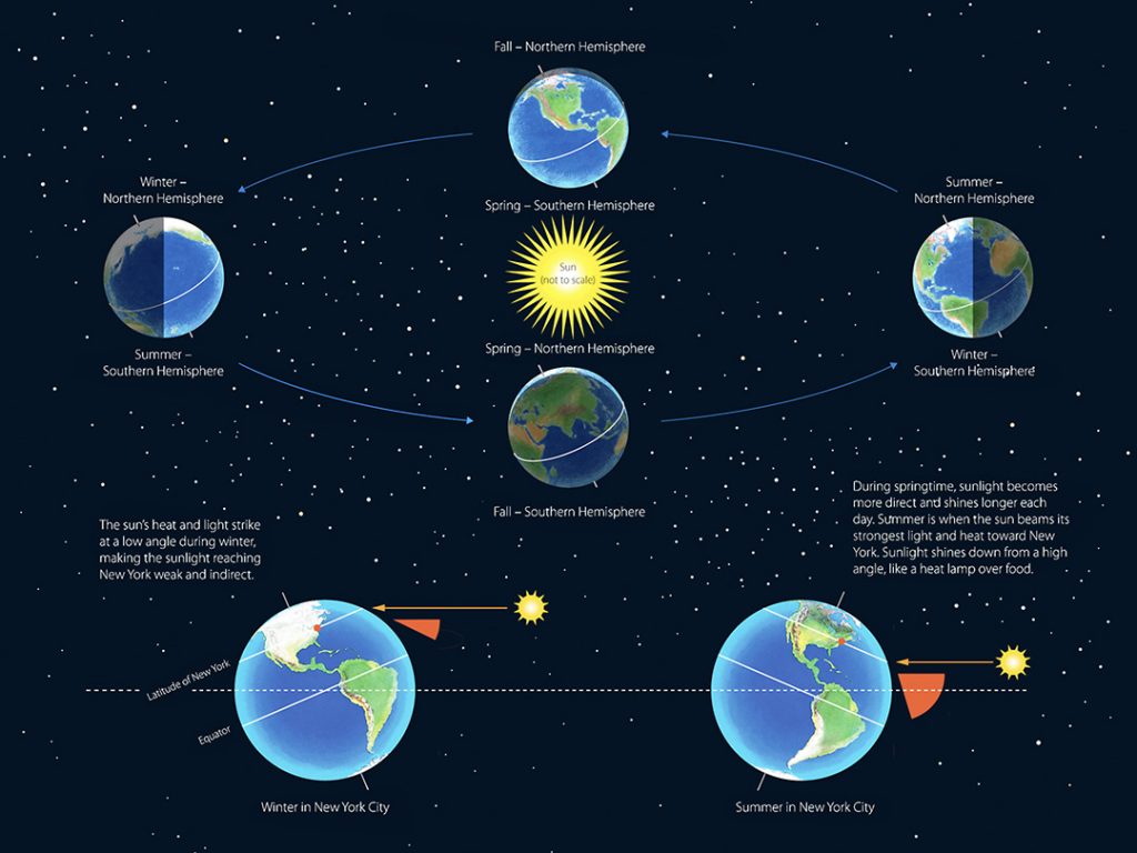 The seasons | Louis Mackay Design & Illustration